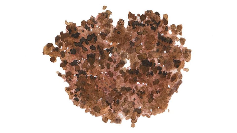 Iron Oxides (CI 77491 / CI 77492 / CI 77499)
