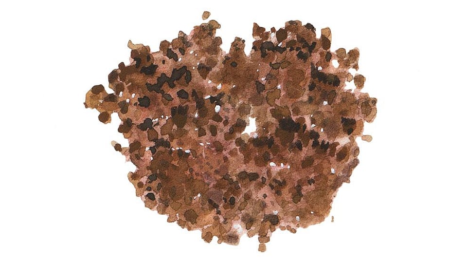 Iron Oxides (CI 77491 / CI 77492 / CI 77499)